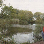 Fishing Lakes in Somerset - Day Ticket Lakes