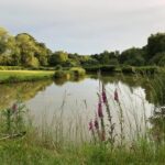 Patshull Park Fisheries (Shropshire) - Day Ticket Lakes