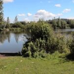 Fishing Lakes in Somerset - Day Ticket Lakes
