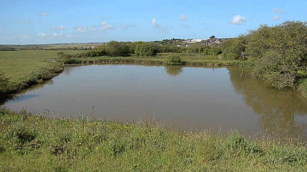 Day Ticket Lakes | Day Ticket Carp Lakes, Coarse Lakes & Rivers