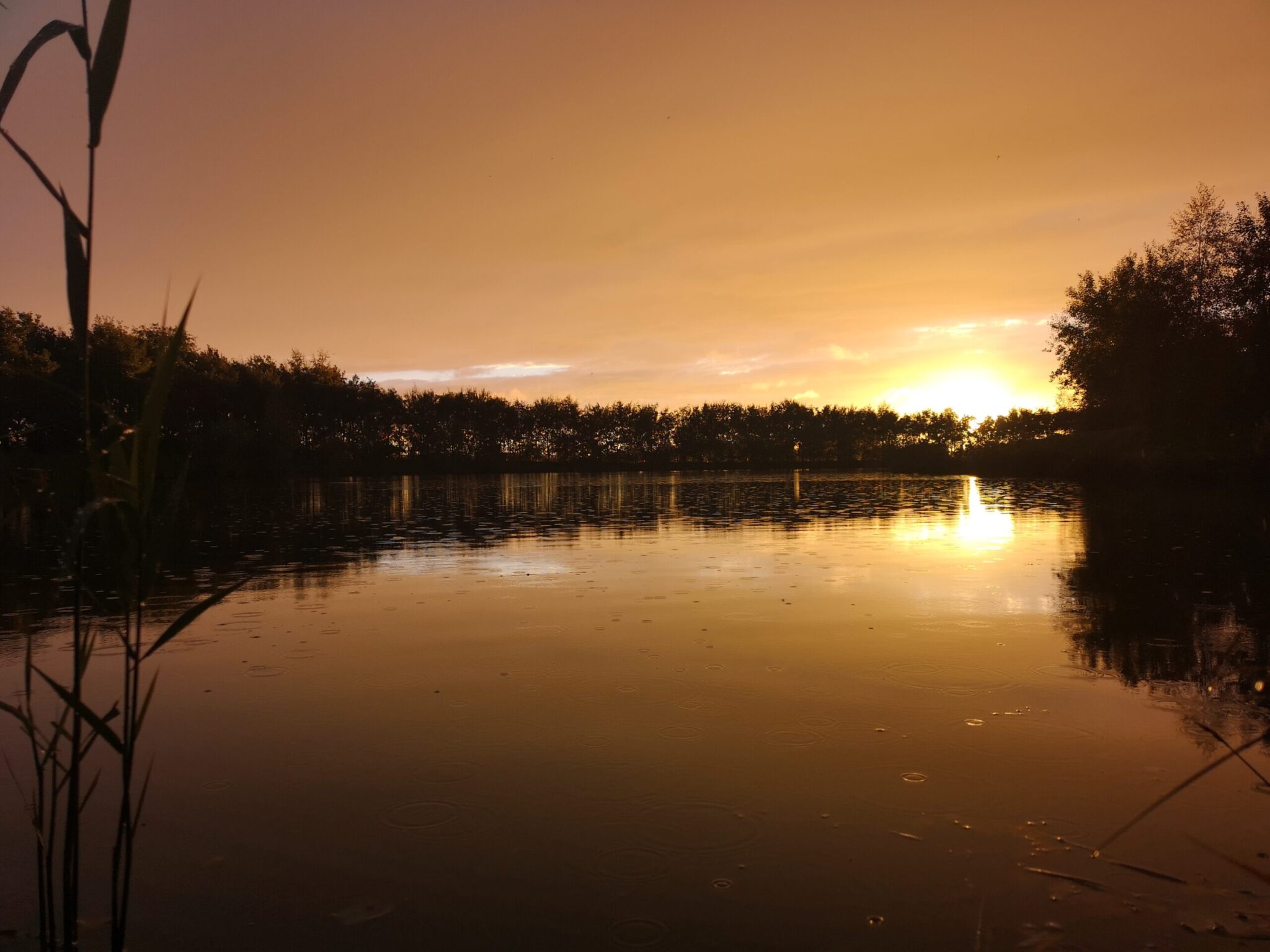 Day Ticket Lakes | Day Ticket Carp Lakes, Coarse Lakes & Rivers