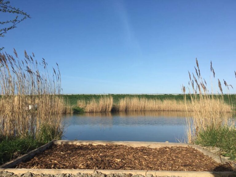 Fishing Lakes in Norfolk - Day Ticket Lakes