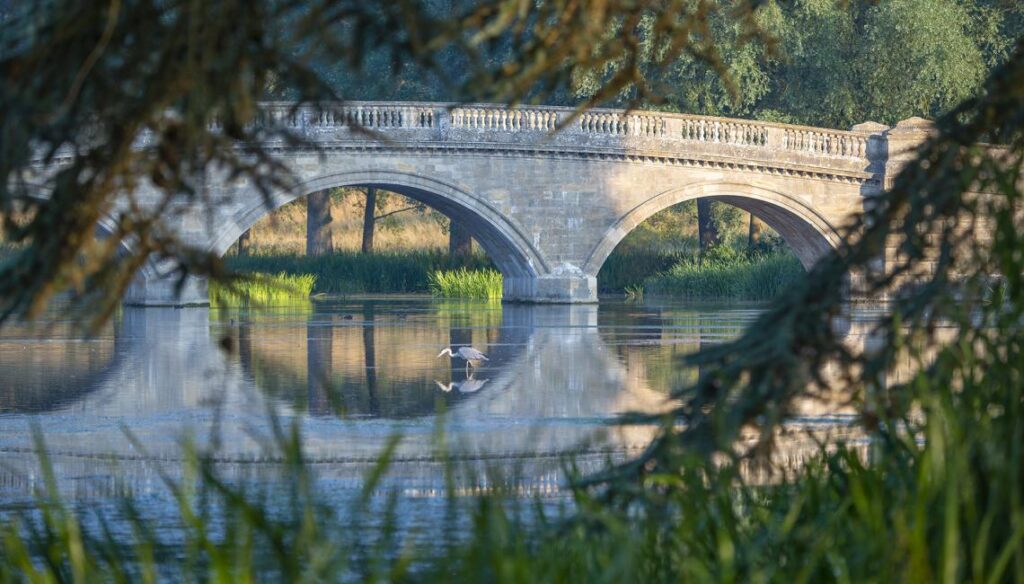 Fishing Lakes in Oxfordshire - Day Ticket Lakes